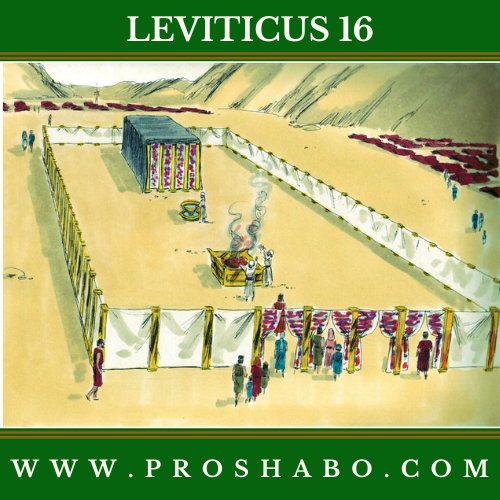 Verse By Verse Explanation Of Leviticus 16 PROSHABO
