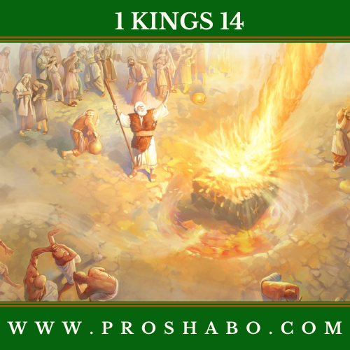 Verse By Verse Explanation Of 1 Kings 14 PROSHABO verse-by-verse-explanation-of-1-kings-14-proshabo